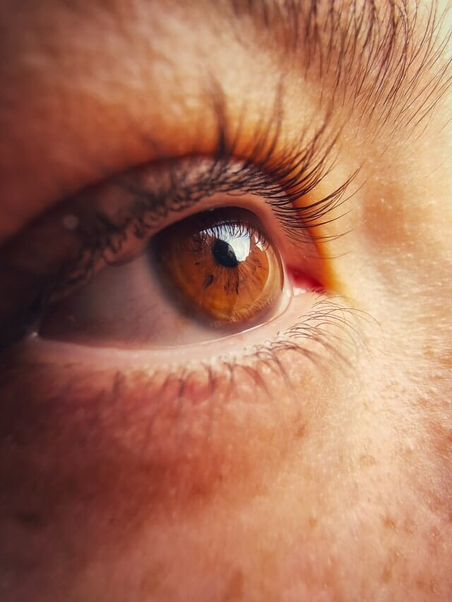 Amniotic Membranes for Dry Eye and Corneal Scarring -Specialty Vision